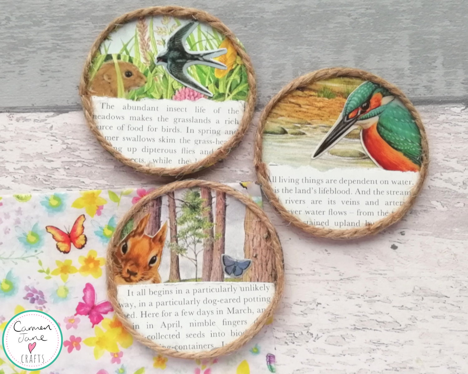 Wildlife Magnet Set Letterbox Gift, Squirrel, Kingfisher, Flora & Fauna ...