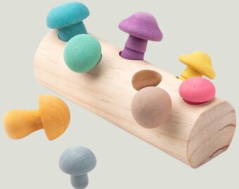 Montessori Sorting Game - Etsy