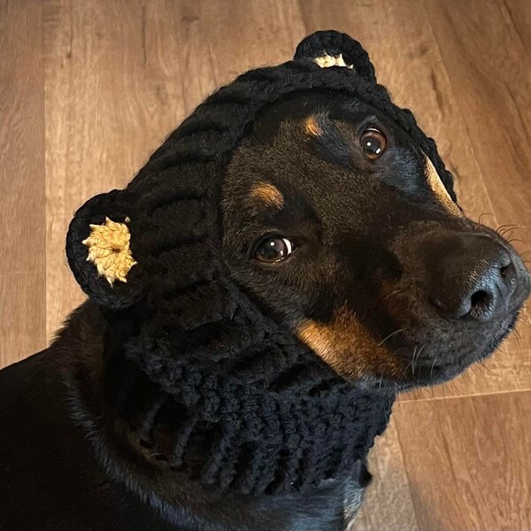 Black Bear Dog Costume - Etsy