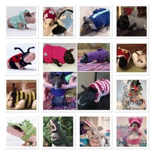 22 Crochet Pattern Guinea Pig Clothes & Costumes Ultimate Collection ...