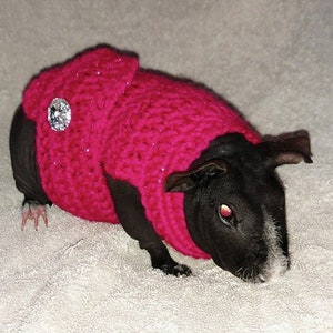 Crochet Pattern Guinea Pig Clothes, Guinea Pig Sweater Pattern, Skinny ...