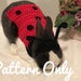 Crochet Pattern Rabbit Ladybug Sweater, Rabbit Costume Pattern - Etsy