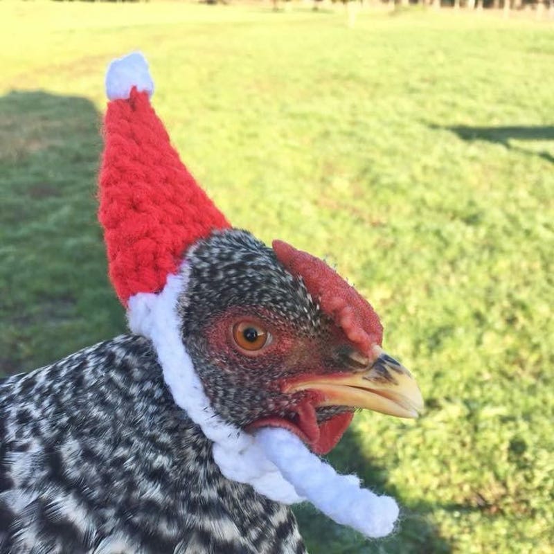 Crochet Chicken Hat - Etsy