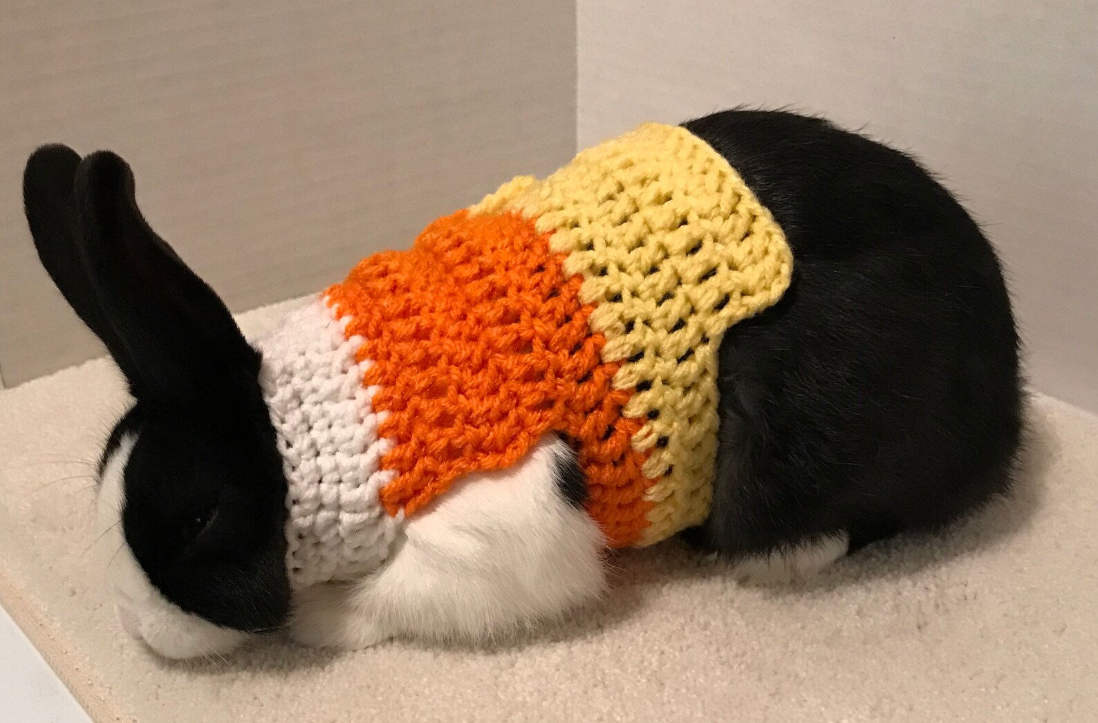 Rabbit Costume Candy Corn Costume Rabbit Sweater Rabbit - Etsy
