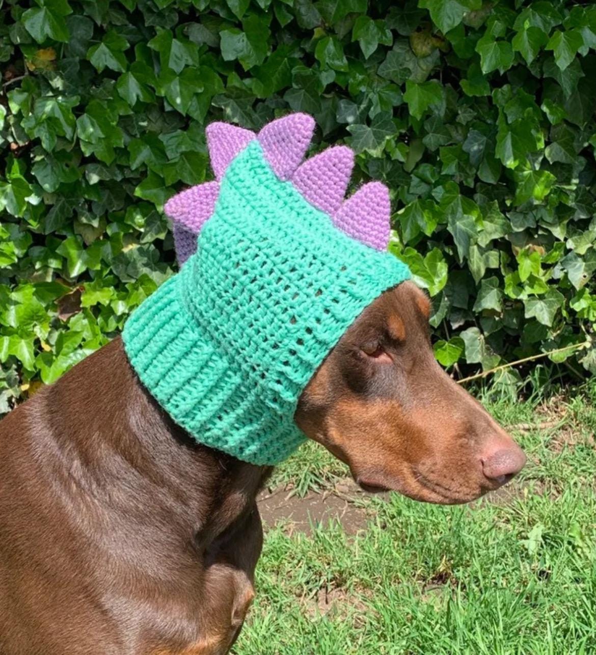 12 Crochet Pattern Dog Cowl Costumes Collection- 12 Crochet Patterns ...