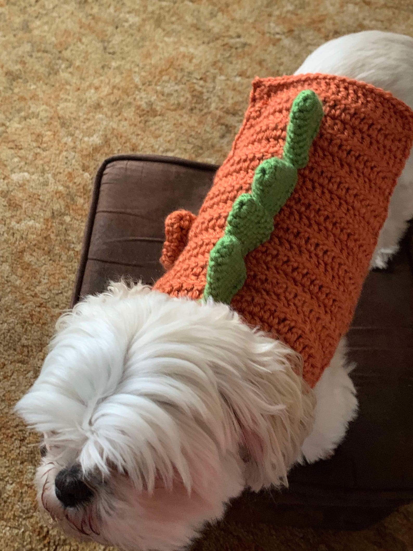 Cat Dinosaur Sweater Crochet Pattern, Dog Dinosaur Sweater, Small Pet ...