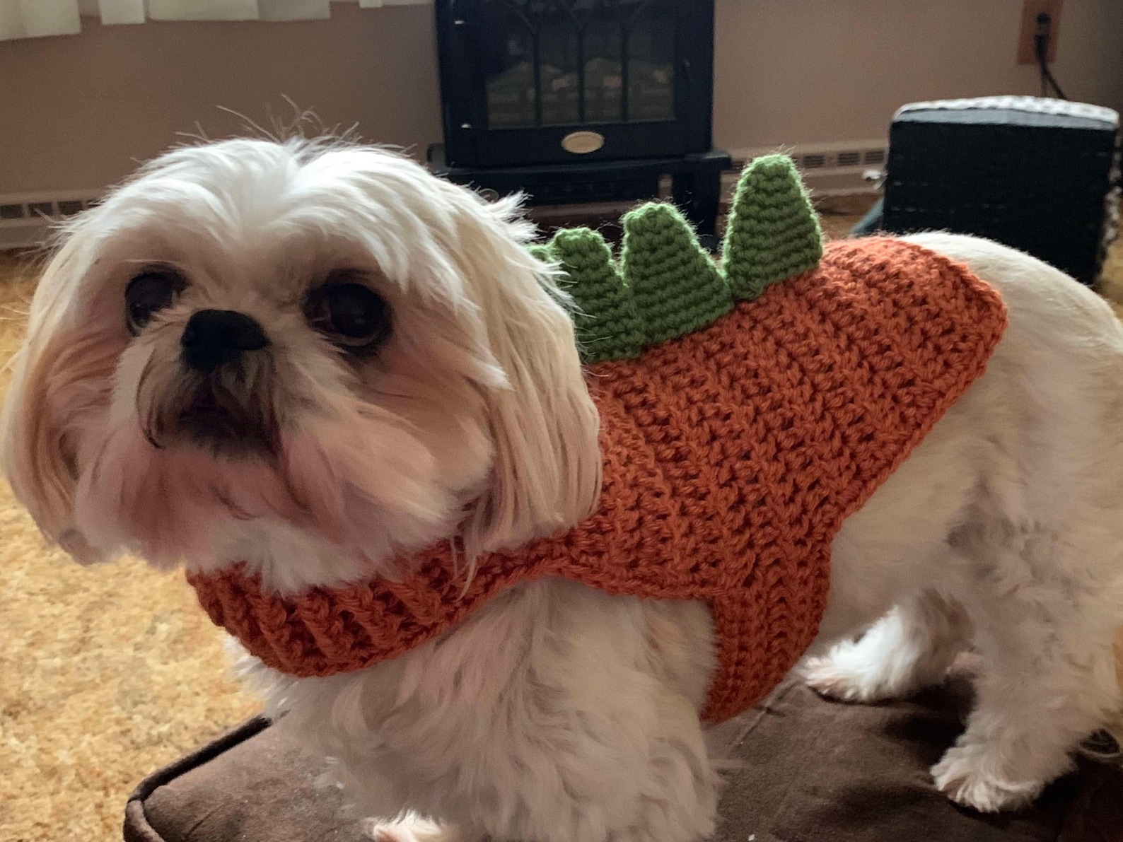 Cat Dinosaur Sweater Crochet Pattern, Dog Dinosaur Sweater, Small Pet ...