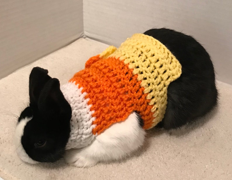 Rabbit Costume Candy Corn Costume Rabbit Sweater Rabbit - Etsy