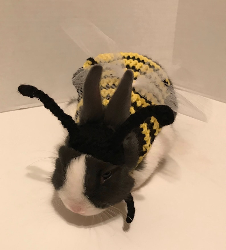 Rabbit Costume Bumble Bee Costume Bumble Bee Outfit Rabbit - Etsy