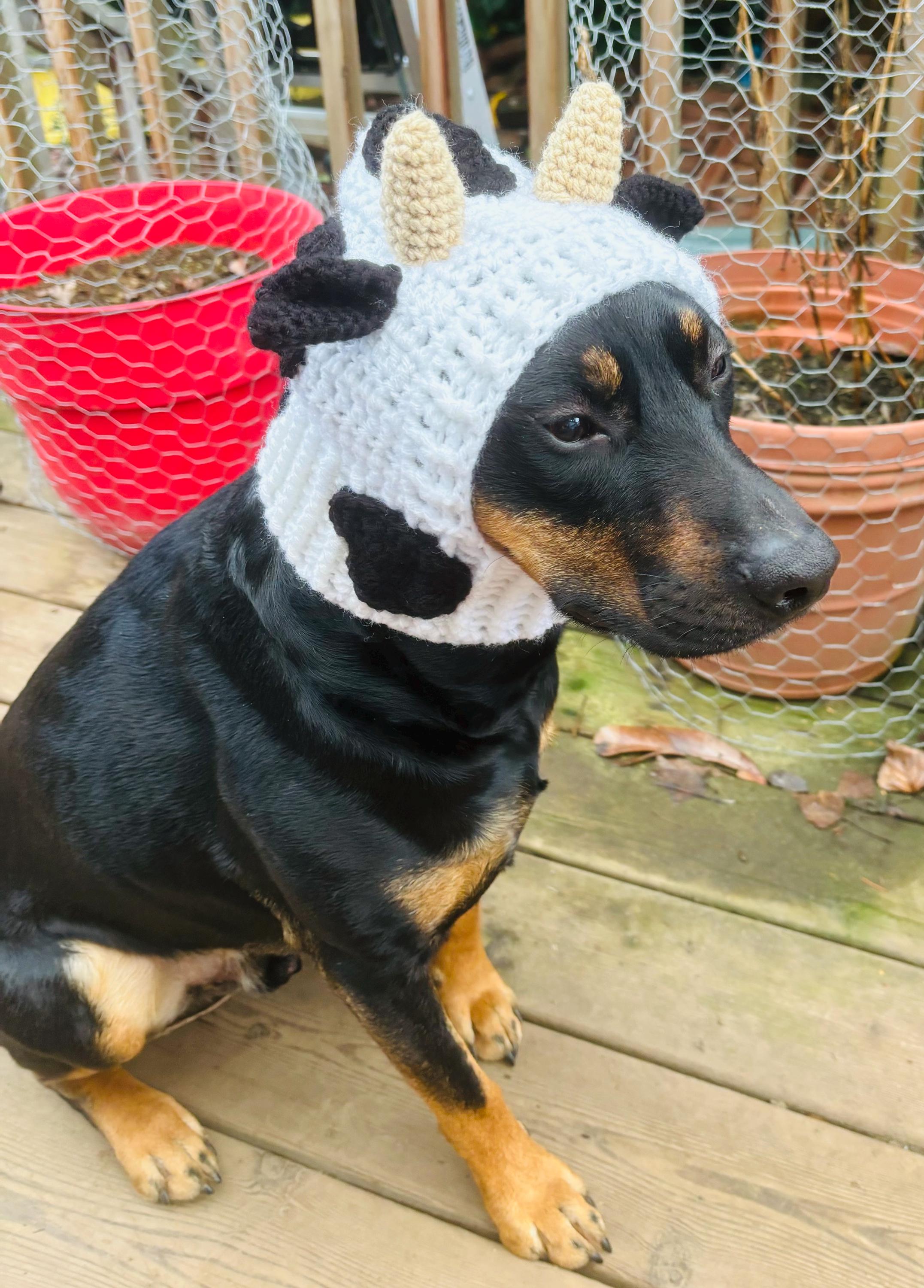 Crochet Pattern Dog Cow Cowl Snood - Etsy