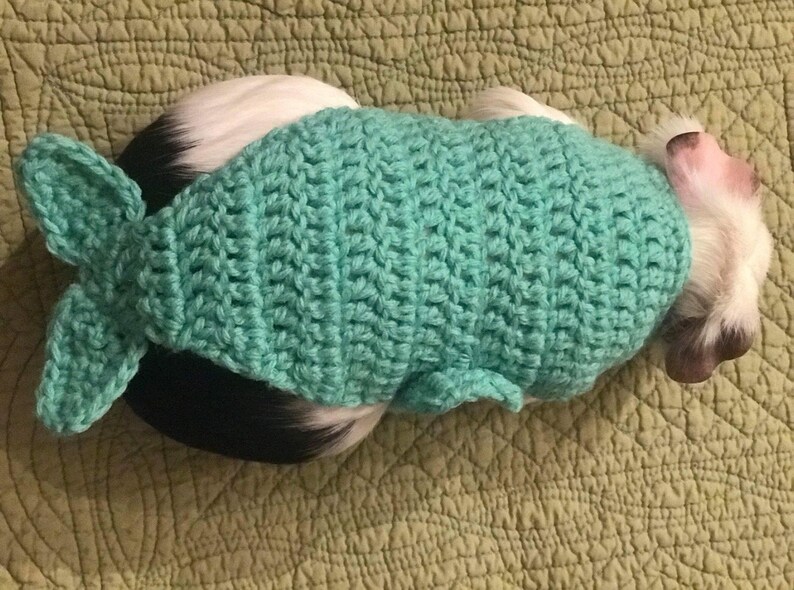 11 Crochet Pattern Guinea Pig Clothes & Costumes Collection Volume 2 ...