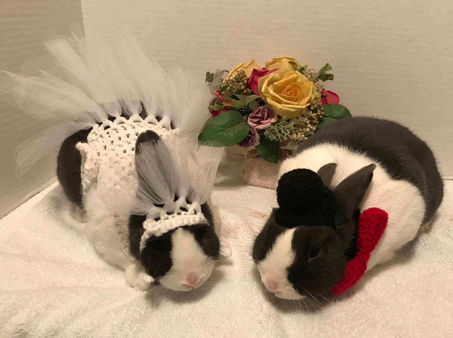 Rabbit Costume Rabbit Bride Costume Rabbit Wedding Rabbit | Etsy