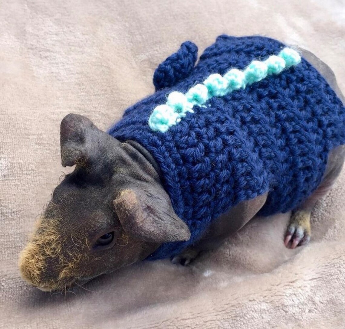 Crochet Pattern Guinea Pig Clothes & Costumes Collection- 13 Crochet ...