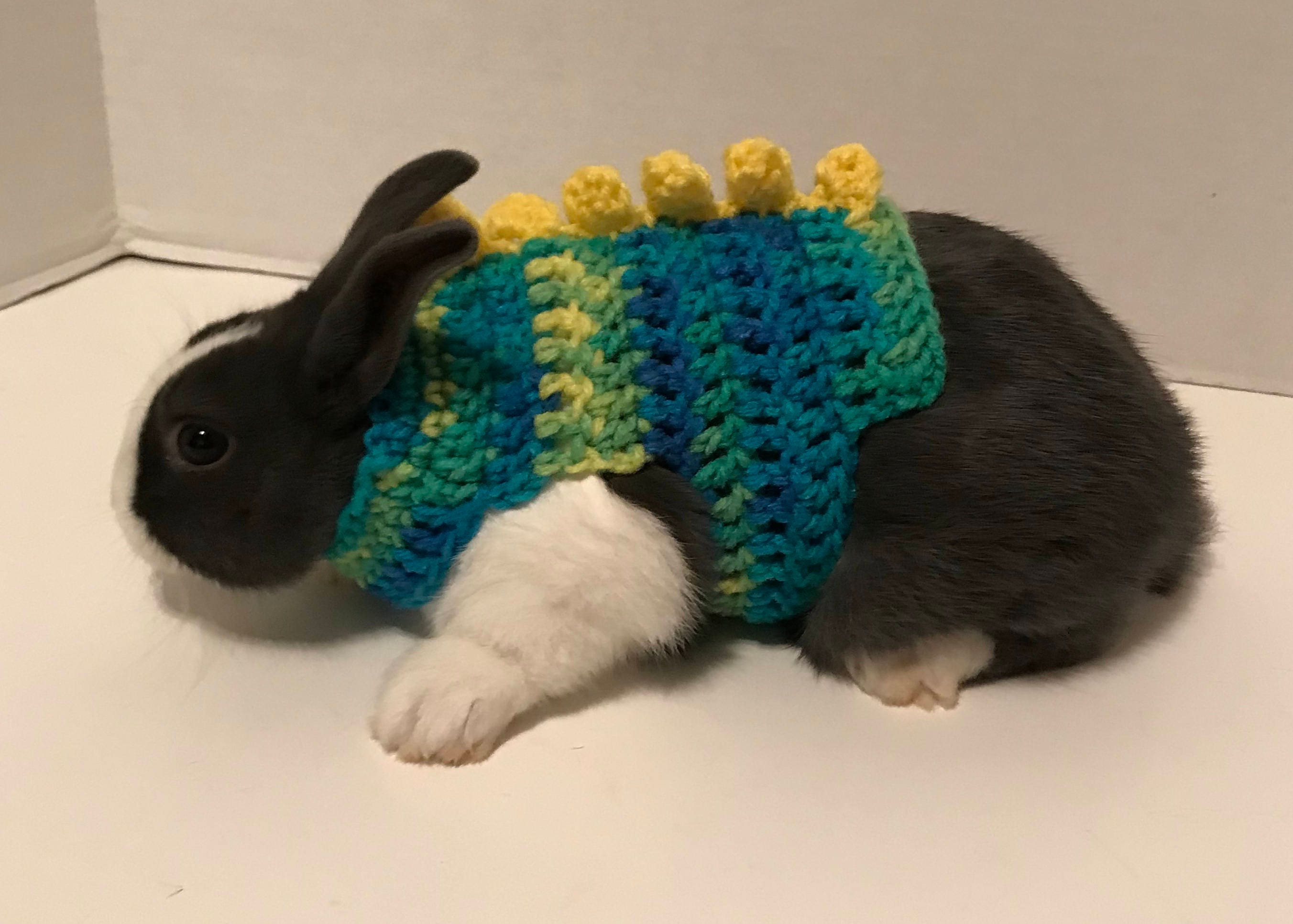 Crochet Pattern Rabbit Dinosaur Costume, Rabbit Clothes Pattern, Rabbit ...