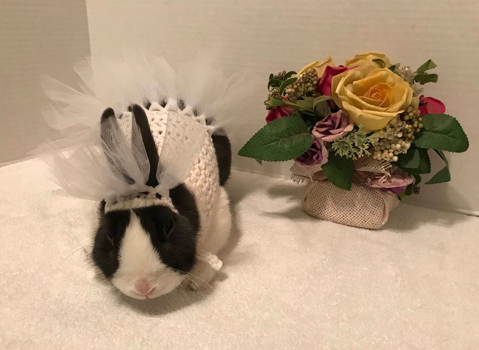 Rabbit Costume Rabbit Bride Costume Rabbit Wedding Rabbit | Etsy