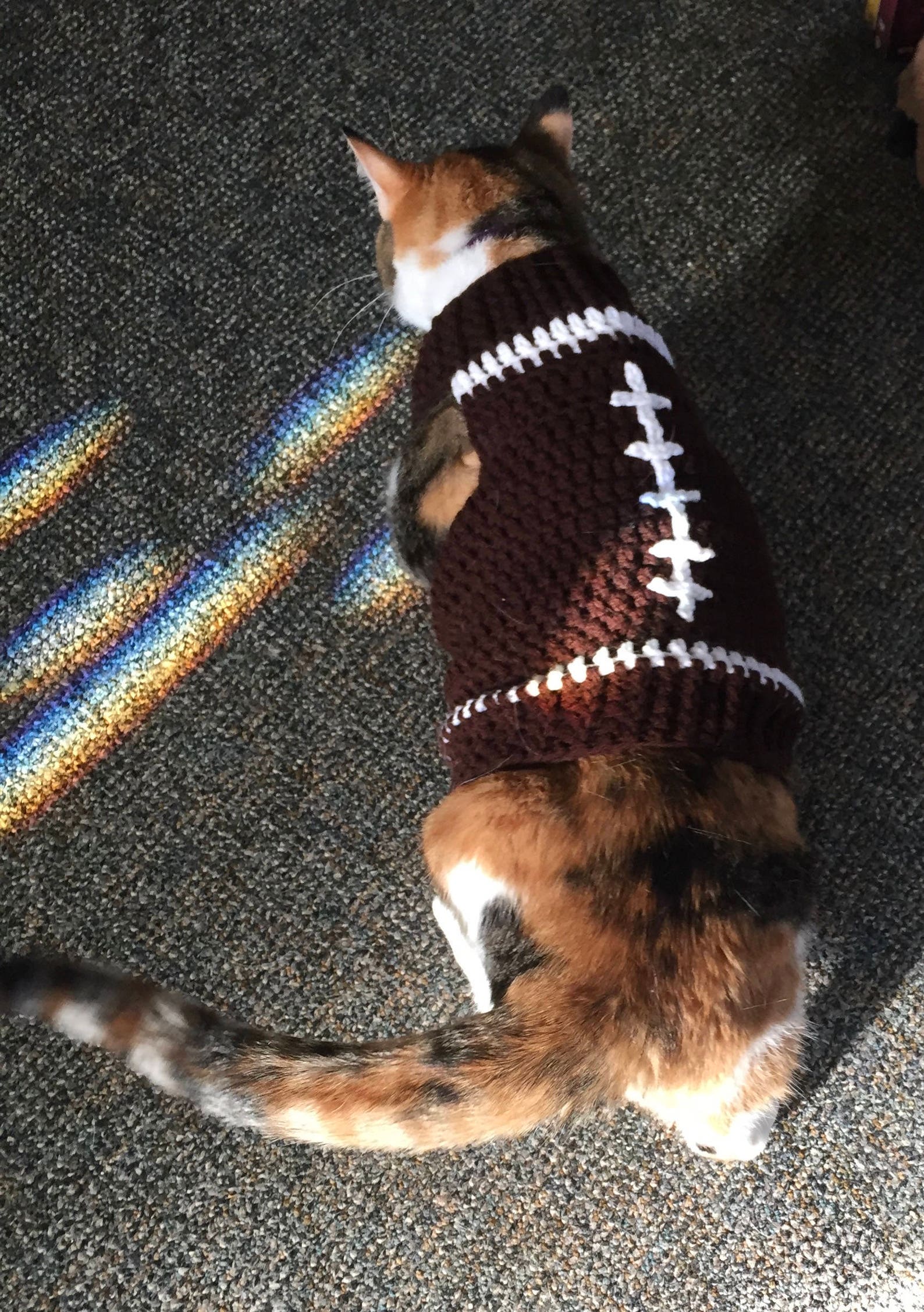 Cat Crochet Pattern Cat Football Costume Crochet Pattern - Etsy