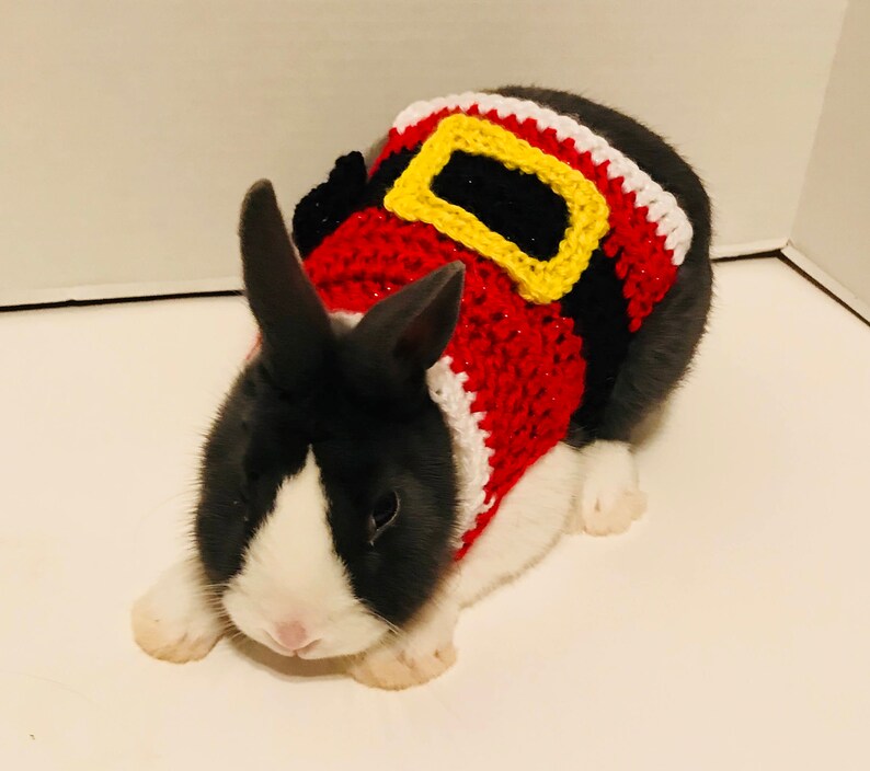 Crochet Pattern Rabbit Santa Clothes, and Antlers - Etsy