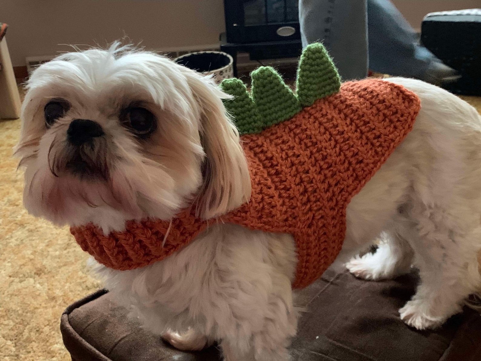 Cat Dinosaur Sweater Crochet Pattern, Dog Dinosaur Sweater, Small Pet ...
