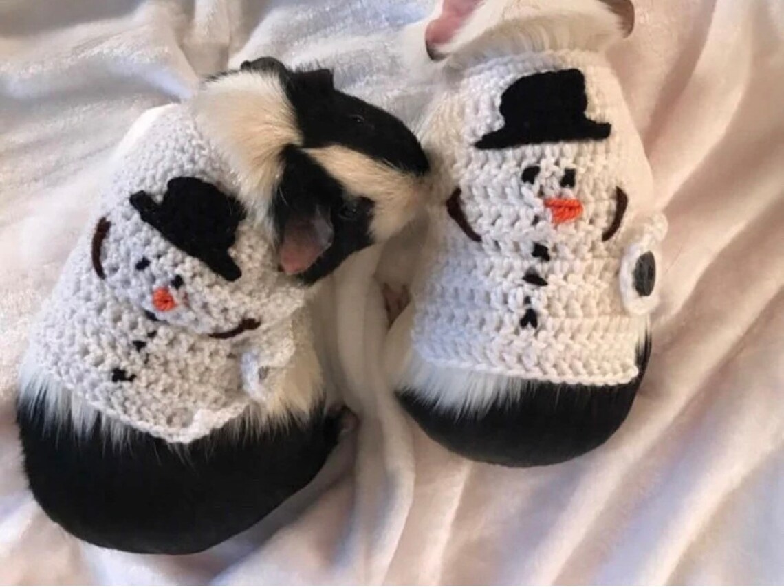 Crochet Pattern Guinea Pig Clothes & Costumes Collection- 13 Crochet ...