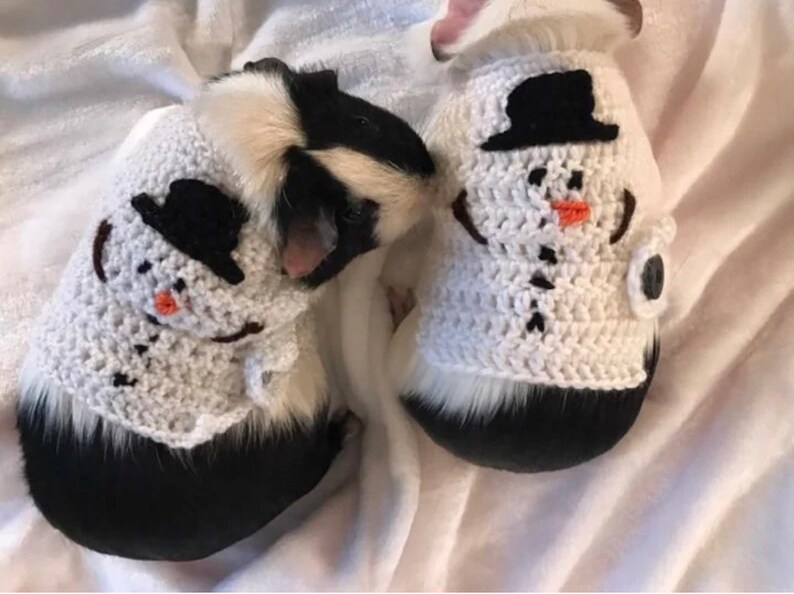 Crochet Pattern Guinea Pig Clothes & Costumes Collection- 13 Crochet ...