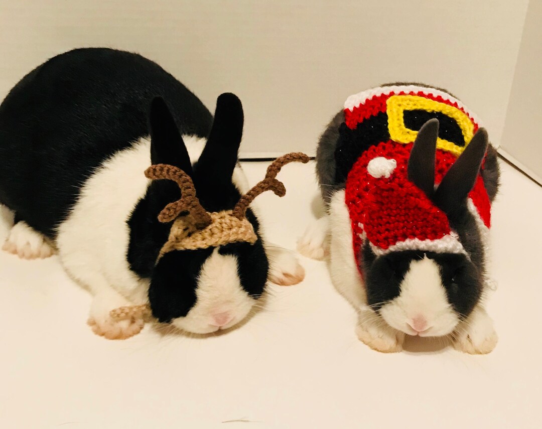 Rabbit Santa Clothes, Pet Santa Hat, Rabbit Santa Outfit, Pet Christmas ...
