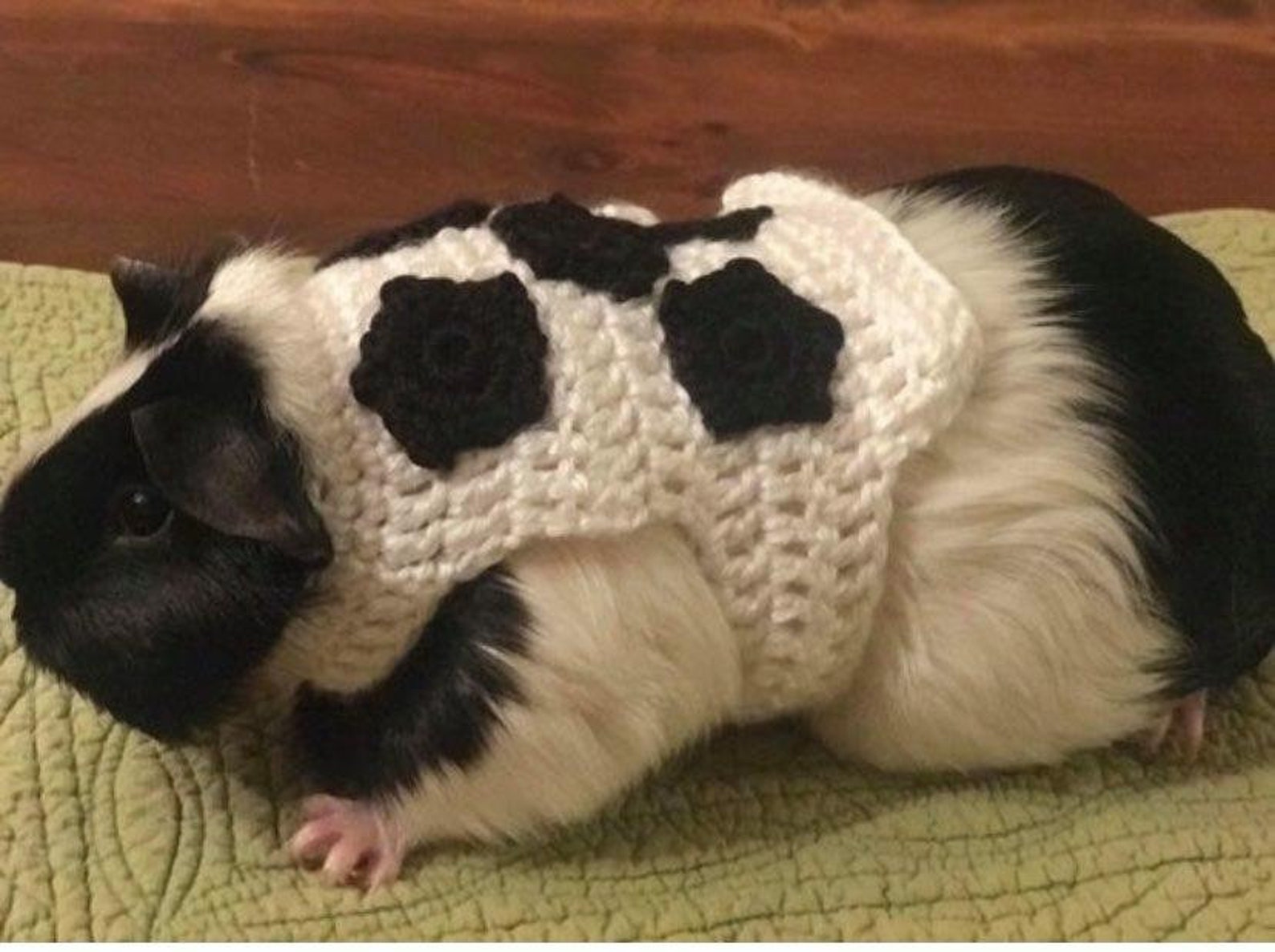 Crochet Pattern Guinea Pig Soccer Sweater Guinea Pig Clothes - Etsy
