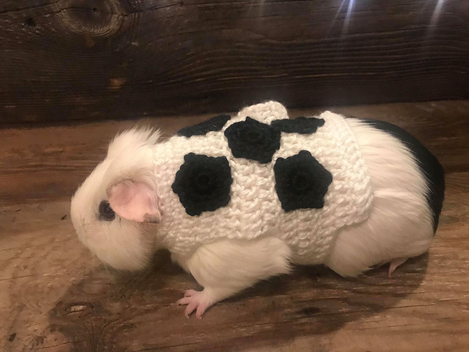 Crochet Pattern Guinea Pig Soccer Sweater Guinea Pig Clothes - Etsy
