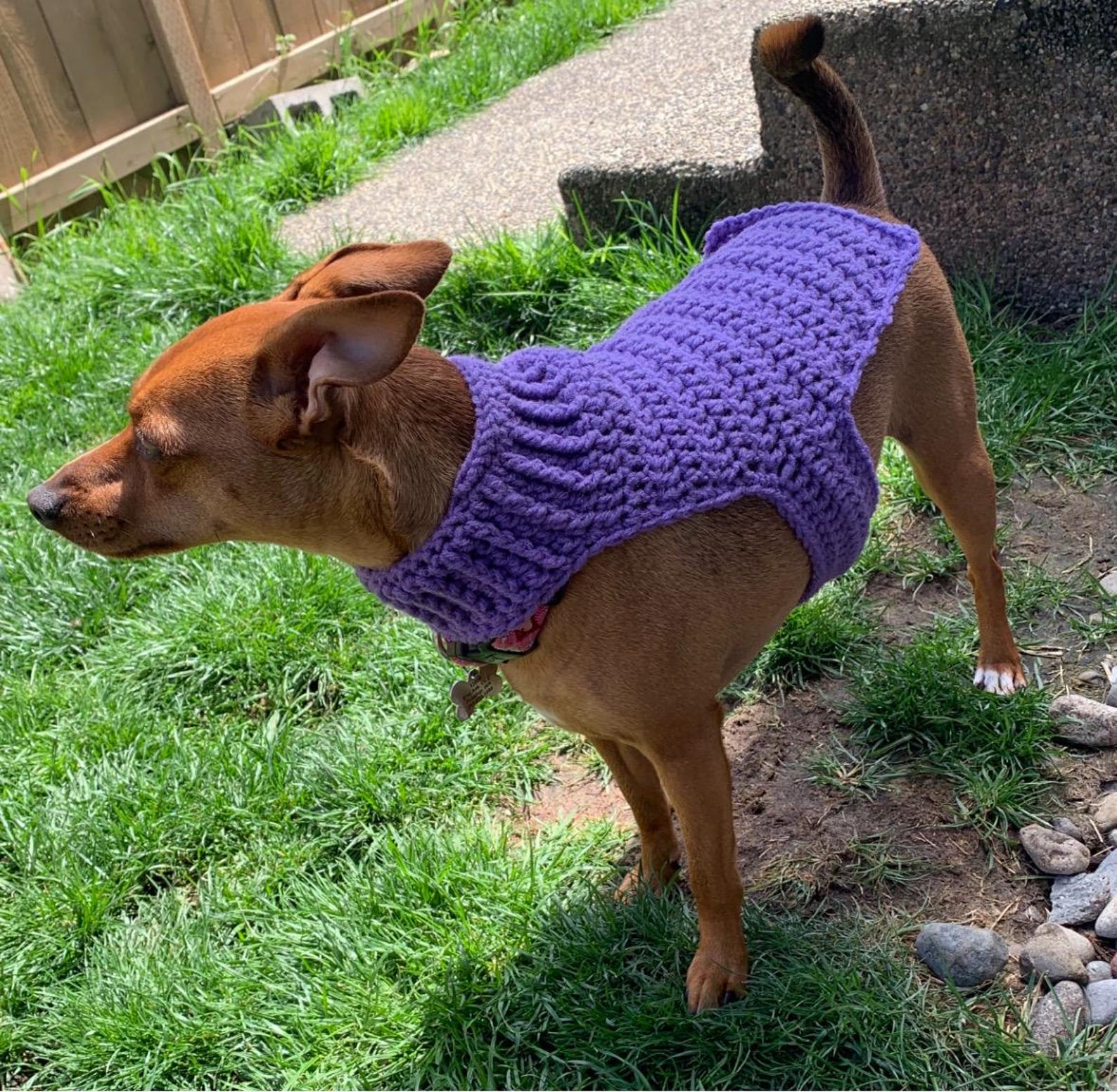 Crochet Pattern Small Dog Sweater, Dog Clothes Pattern, Pet Clothes ...