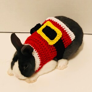 Rabbit Santa Clothes, Pet Santa Hat, Rabbit Santa Outfit, Pet Christmas ...