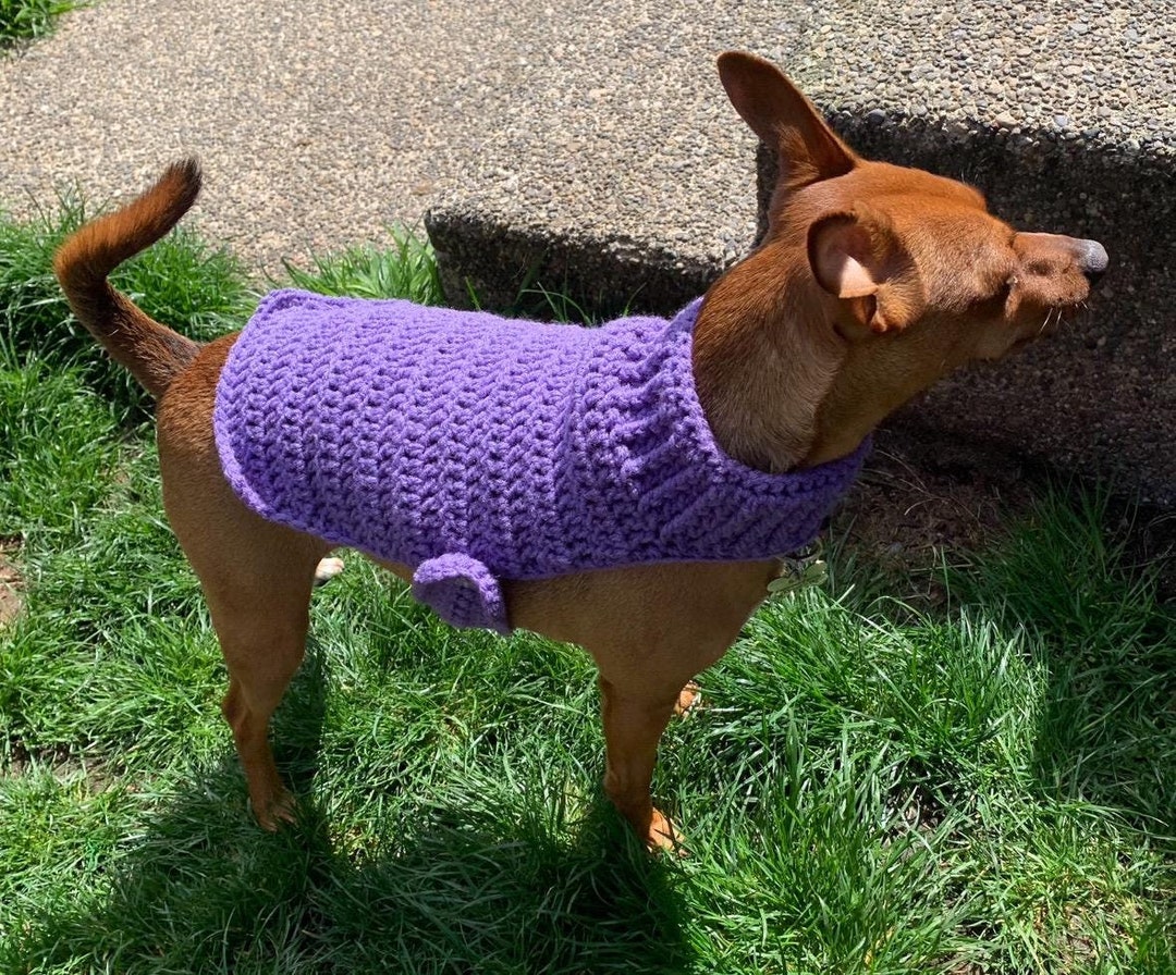 Crochet Pattern Small Dog Sweater, Dog Clothes Pattern, Pet Clothes ...