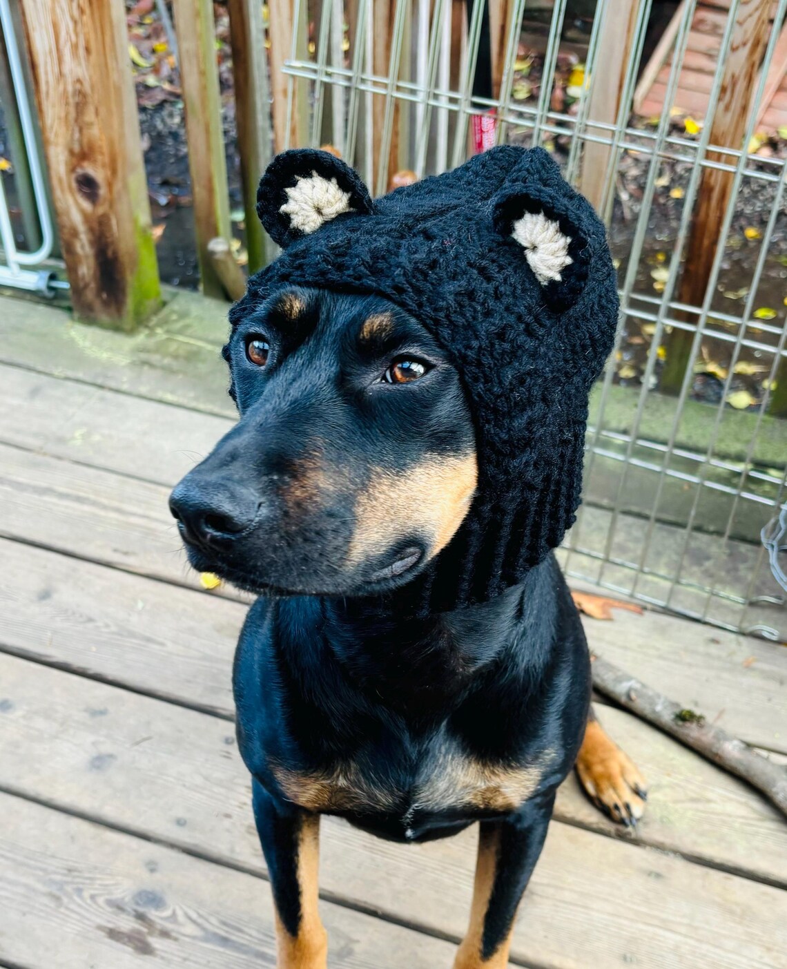 12 Crochet Pattern Dog Cowl Costumes Collection- 12 Crochet Patterns ...