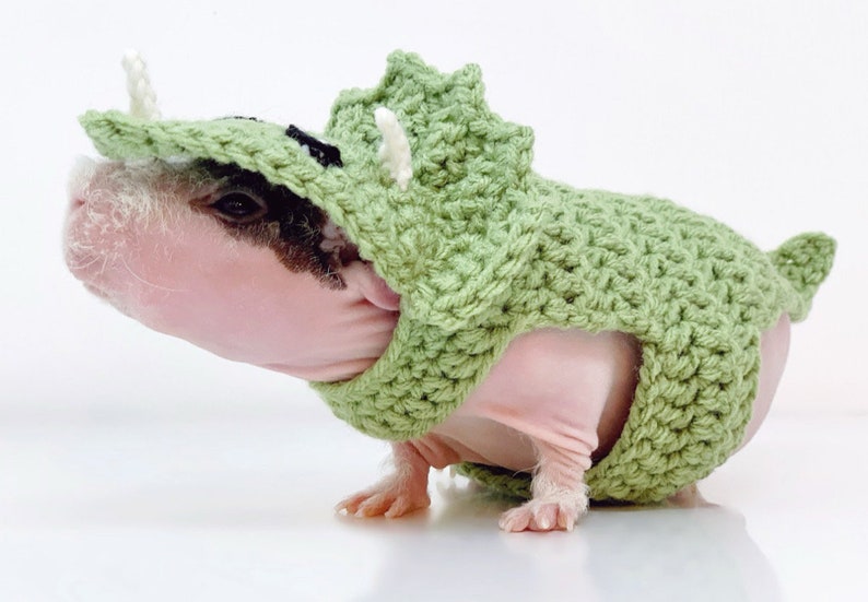 11 Crochet Pattern Guinea Pig Clothes & Costumes Collection Volume 2 ...