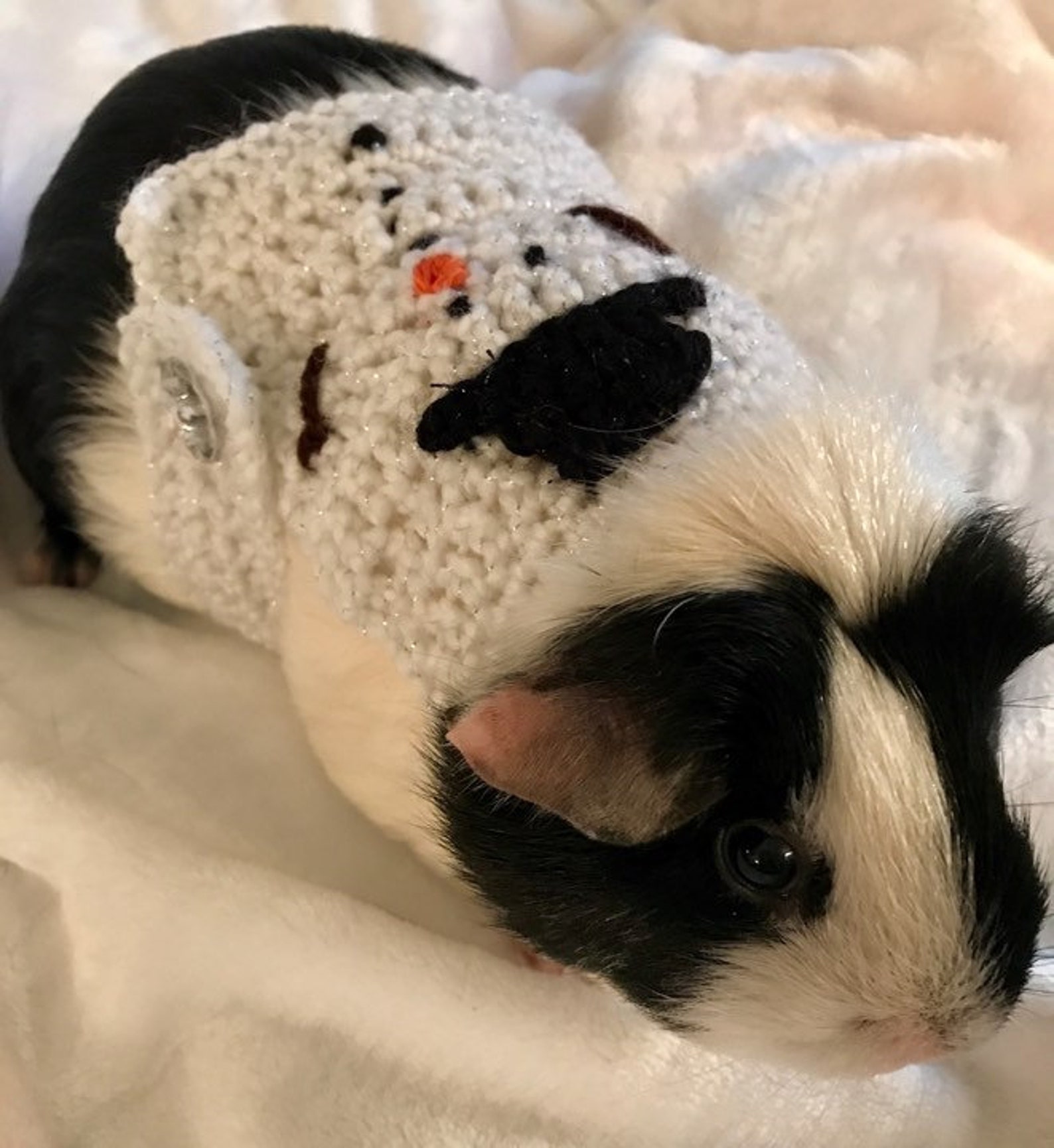 Crochet Pattern Snowman Guinea Pig Sweater, Guinea Pig Clothes Pattern ...