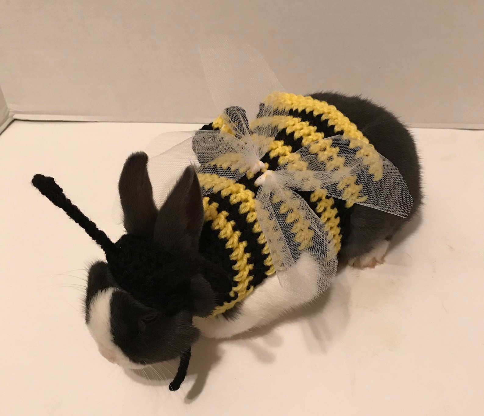 Guinea Pig Bumble Bee Costume, Bumble Bee Outfit, Guinea Pig Clothes ...