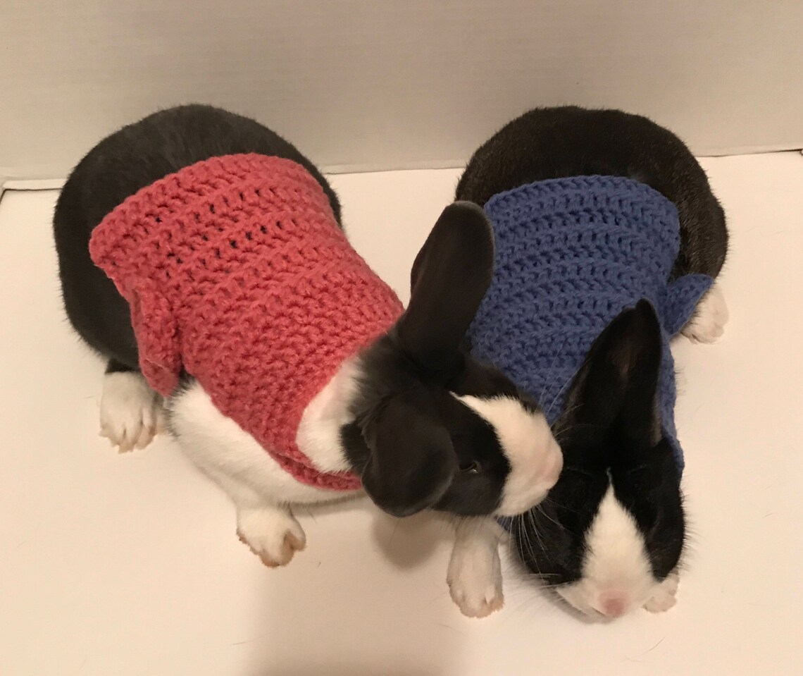 Crochet Pattern Rabbit Sweater Rabbit Clothes Pattern - Etsy Canada