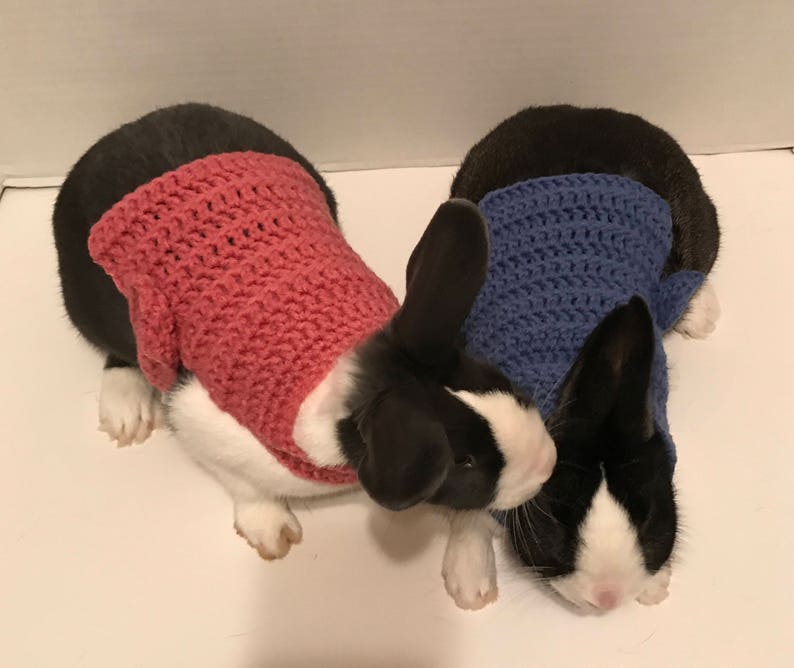 Rabbit Clothes Rabbit Sweater Rabbit Costume Sweater for - Etsy