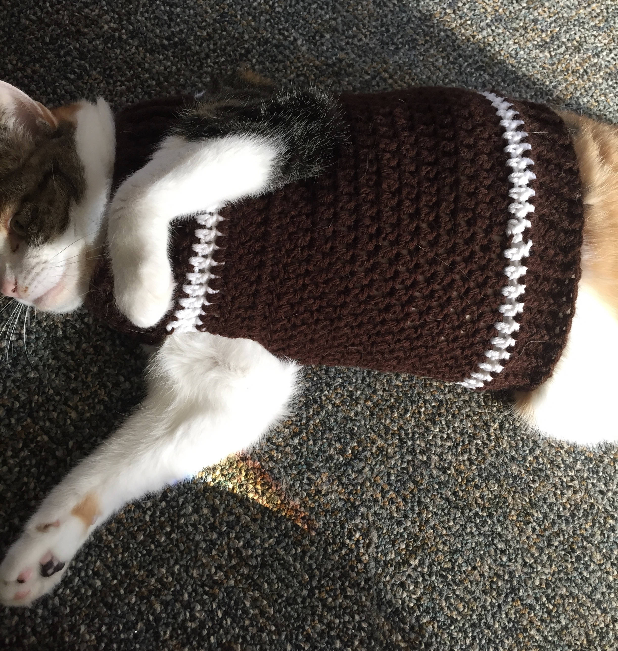 Cat Crochet Pattern Cat Football Costume Crochet Pattern | Etsy