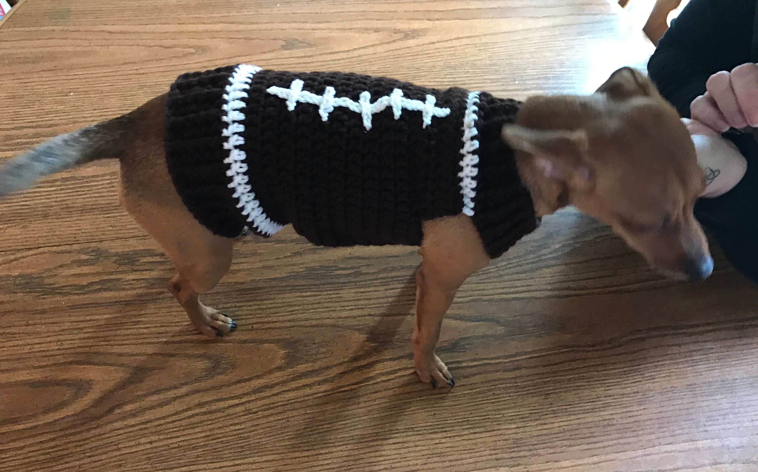 Cat Crochet Pattern Cat Football Costume Crochet Pattern | Etsy