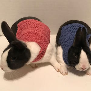 Crochet Pattern Rabbit Sweater, Rabbit Clothes Pattern - Etsy