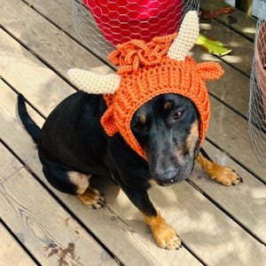 Crochet Pattern Highland Cow Dog Snood Cowl, Hairy Coos Hat, Fluffy Cow ...