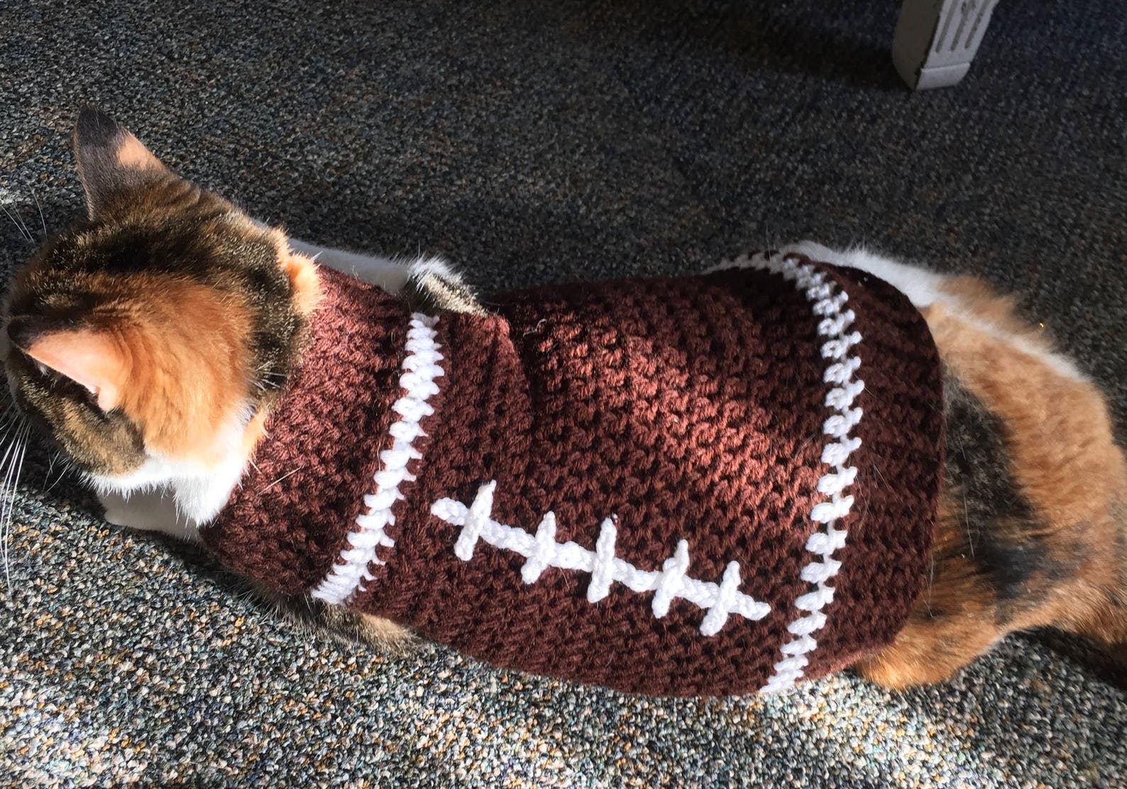 Cat Crochet Pattern Cat Football Costume Crochet Pattern - Etsy