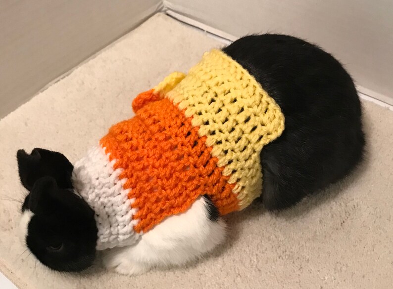 Rabbit Costume Candy Corn Costume Rabbit Sweater Rabbit - Etsy