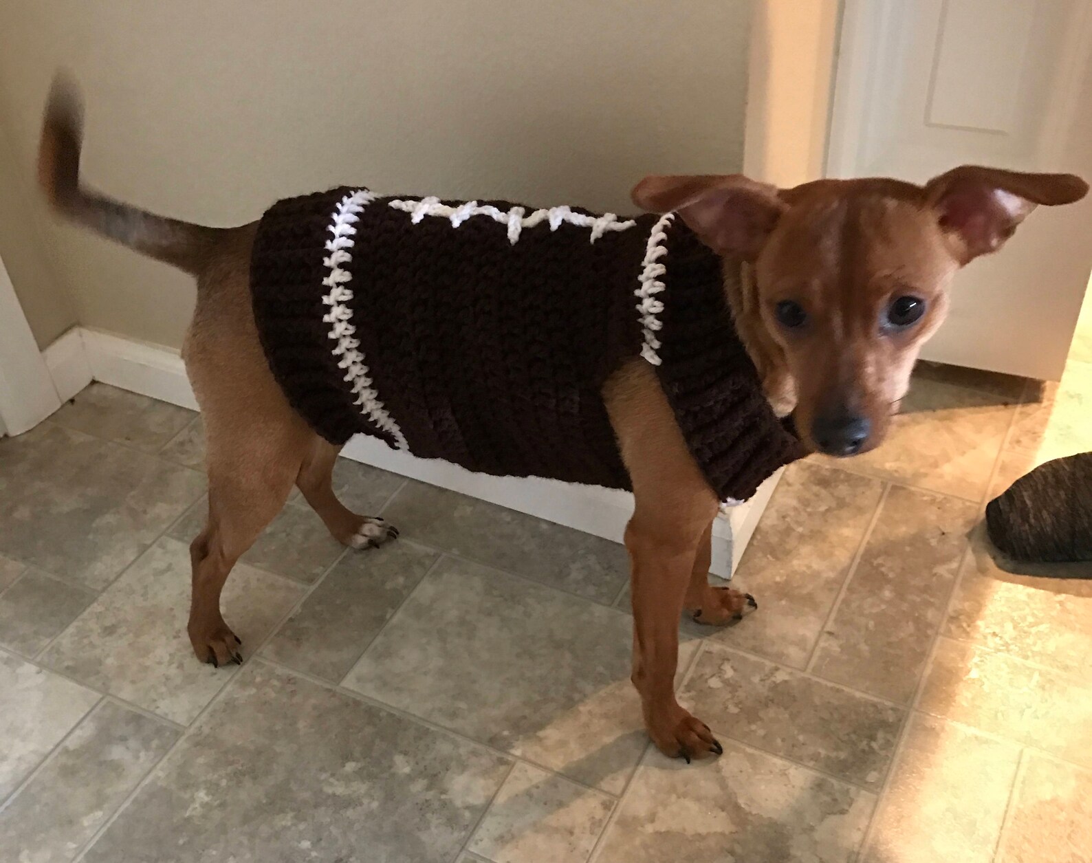 Cat Crochet Pattern Cat Football Costume Crochet Pattern - Etsy