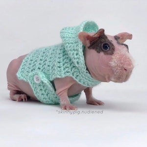 Crochet Pattern Guinea Pig Clothes & Costumes Collection- 13 Crochet ...