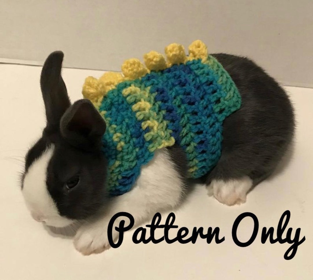 Crochet Pattern Rabbit Dinosaur Costume, Rabbit Clothes Pattern, Rabbit ...