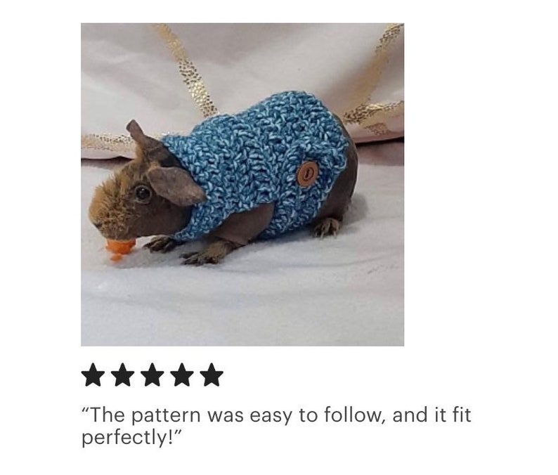 Crochet Pattern Guinea Pig Clothes Guinea Pig Sweater - Etsy