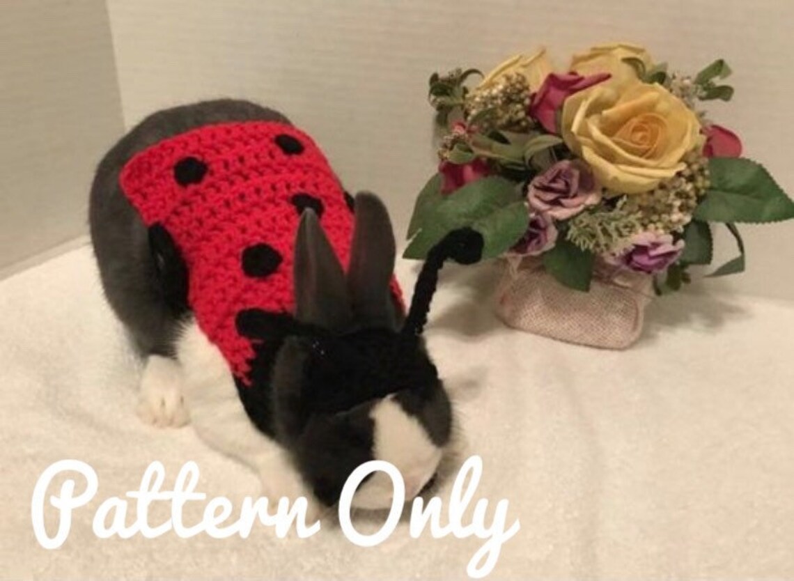Crochet Pattern Rabbit Ladybug Sweater Rabbit Costume Pattern - Etsy