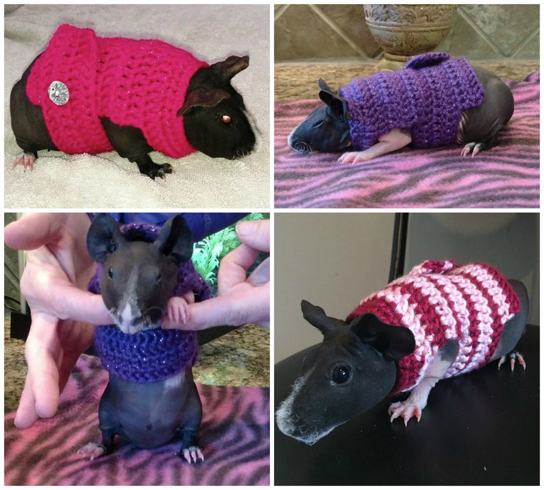 Crochet Pattern Guinea Pig Clothes, Guinea Pig Sweater Pattern, Skinny ...