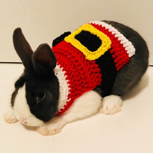 Rabbit Santa Clothes, Pet Santa Hat, Rabbit Santa Outfit, Pet Christmas ...