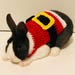 Rabbit Santa Clothes Pet Santa Hat Rabbit Santa Outfit Pet - Etsy